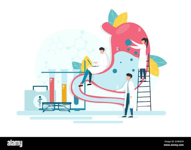 Everything you need to know about gastroenterology | by Zainabameer ...