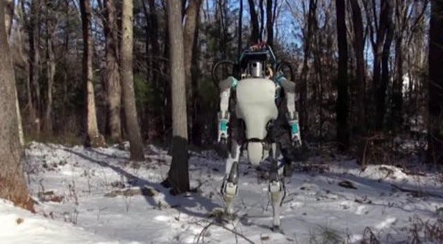 Why the AI Winter will be a brief cold snap | by Tim Gordon | Medium