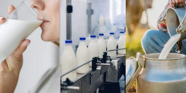 What is the healthiest milk for humans? - Fruity-site - Medium