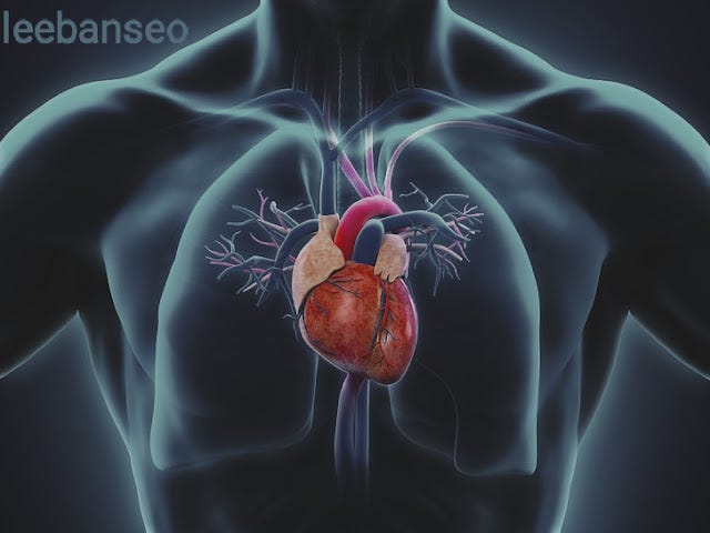EXPLAIN HUMAN HEART/FUNCTIONS OF HUMAN HEART - leeban - Medium