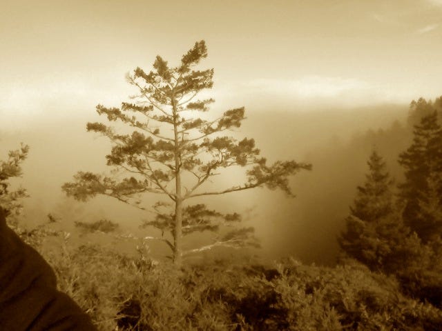 To Die in Life is the Worst Death, not to have Taken the Leap, the ...