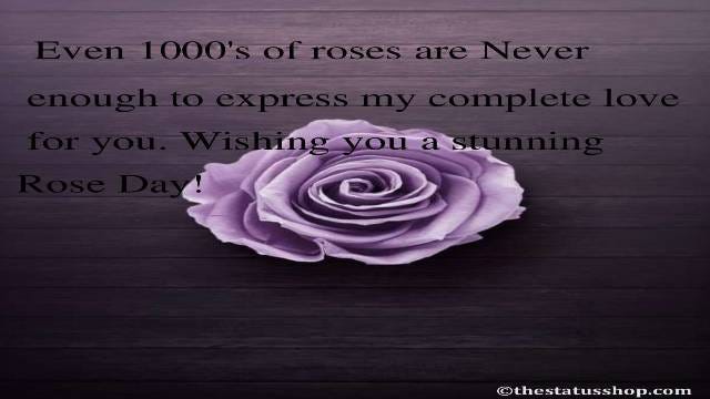 40+ Rose Day Wishes — The Status Shop | by sanjeev kumar | Medium