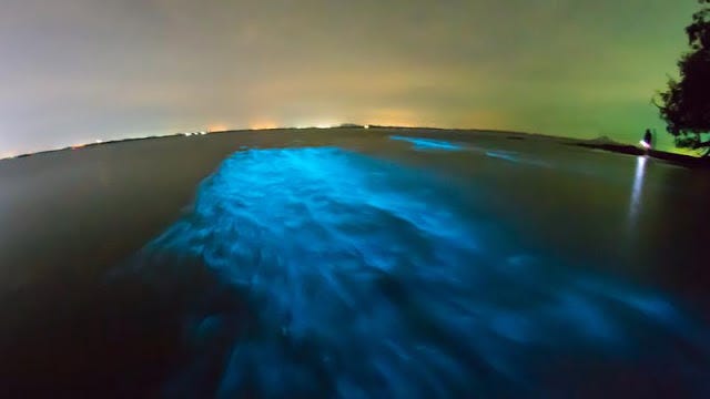 The secrets of Milky Sea Effect. (Illumination of glowing wave, Krabi ...