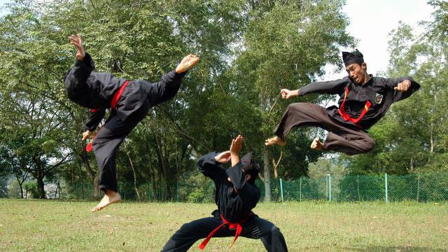 Jurus Pencak Silat. Terdapat beberapa jurus yang terdapat… | by Yachinta Clarissa | Medium