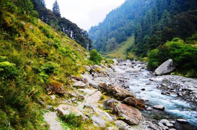 Trekking In Bir Billing One Of The Best Things To Do | by The Sky ...