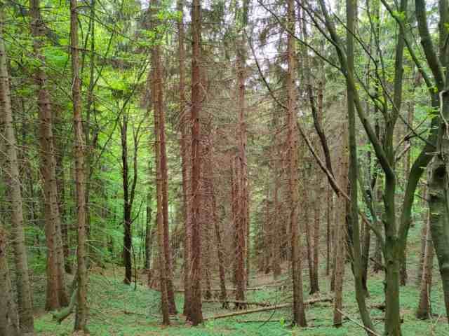 Non Duality: What Is It? And How to Know You’re There? | by L'Aquila ...