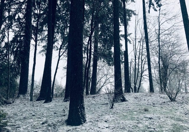 Gutted (Five Haikus) - James Gordon - Medium