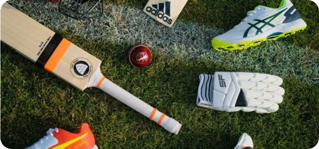 A Step-by-Step Tutorial on Setting up Your Online Cricket ID | by ...