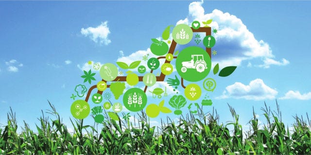 Innovations in Crop Protection for Sustainable Farming | by Syngenta ...