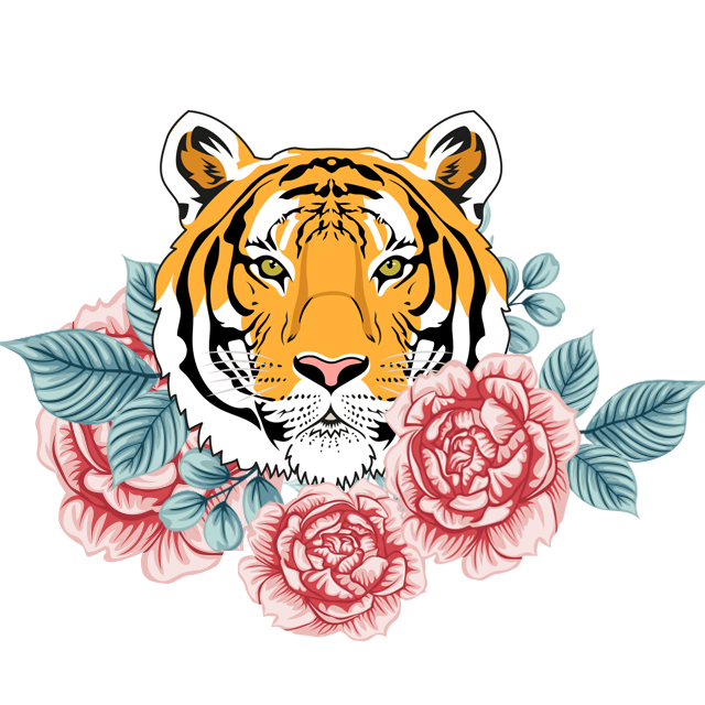 Tiger Token Distribution Announcement | by Yearn4.finance | Medium