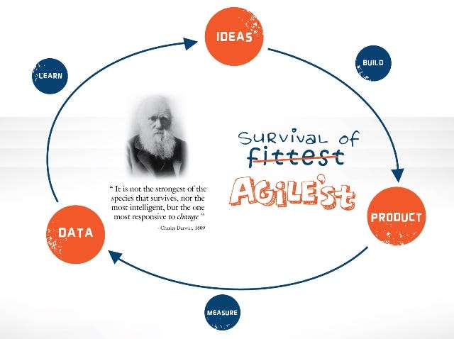 Agile Fails! 6 Most Common Reasons Stating Why | by Innovify | Medium