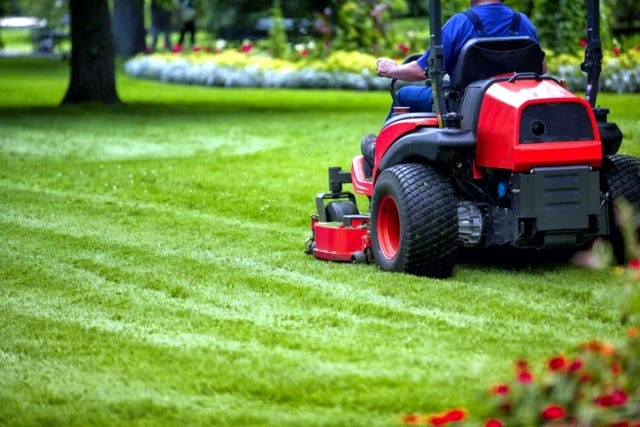 Quinn Griffit — “Quinn’s Gardeners Warrington” | by Quinn Grffit | Medium
