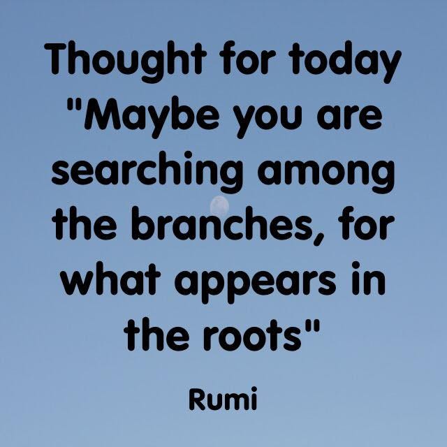 The Roots of Success: Unearthing the Hidden Drivers of Achievement | by ...