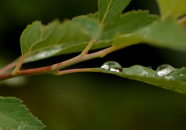 OAuth2 Access Token Usage Strategies for Multiple Resources (APIs) Part 2 | by Robert ...