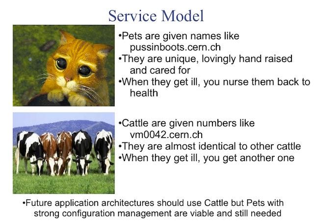 Have you heard the Tech Enterprise IT Joke About Pets vs Cattle? | by ...