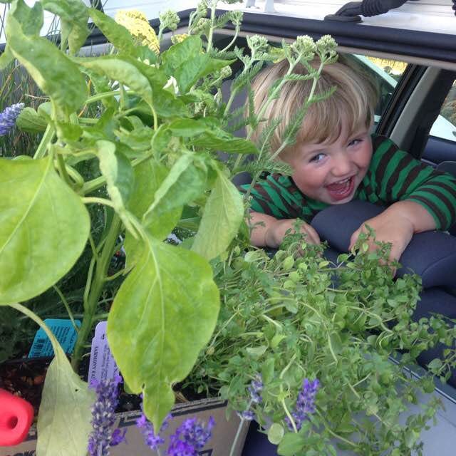 Finn!. My grandson is super cute | by Rich Gibson | Medium