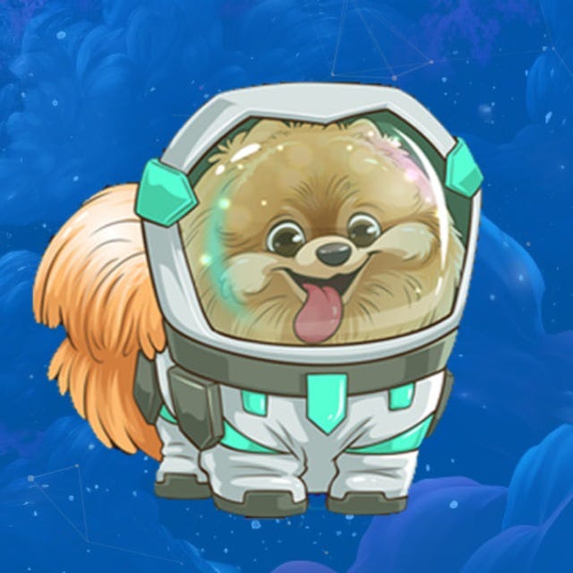 🌛The Fluffiest Token on Solana! - Pomeranaut - Medium
