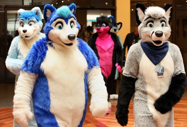 Furries: The [insert longer title] | by Mary Cait Bayliss | Medium