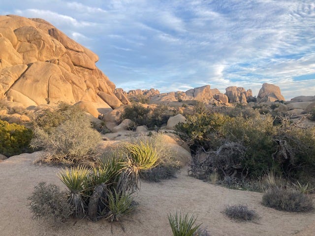 Strange shadows grace this land. Joshua Tree National Park | by Adam ...