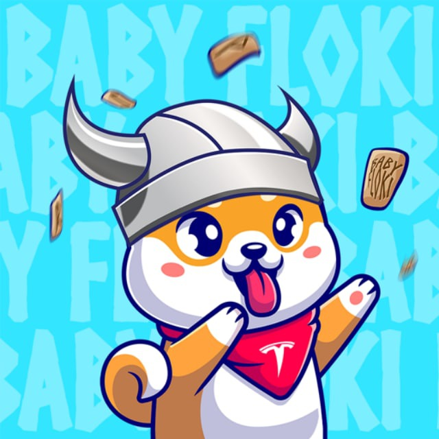 Baby Floki: Bringing the Next Level High Rewards Meme Token to the ...