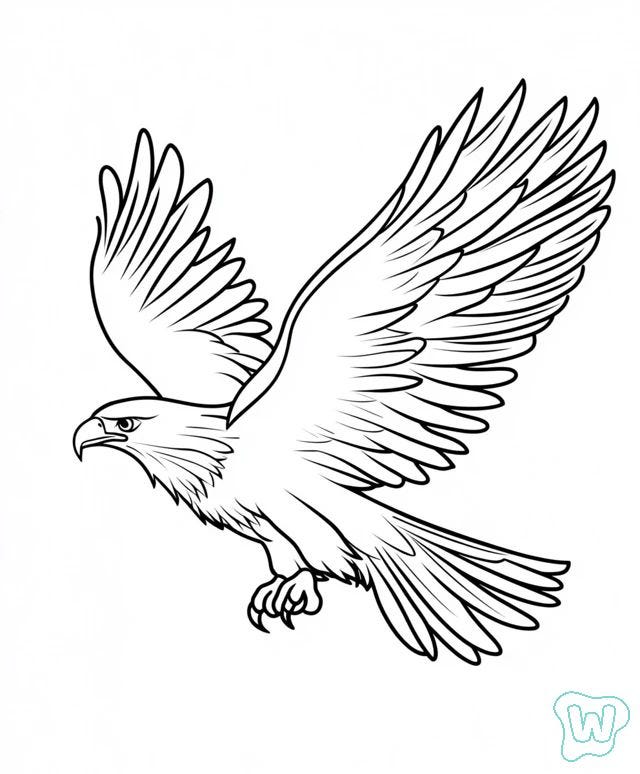 Águilas para Colorear — ColorearW.net - Carlos Martinez - ColorearW.net - Medium