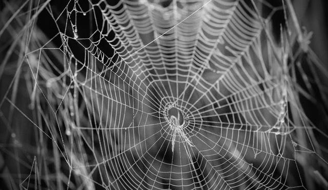 Deconstructing PHP ‘One-liner’ Webshells | by Tanzil Rehman | Medium