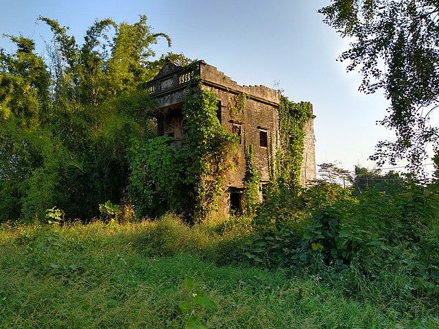 The Appeal of Cozy Post Apocalyptic | by Connlyn Sinclair | Bookworms ...