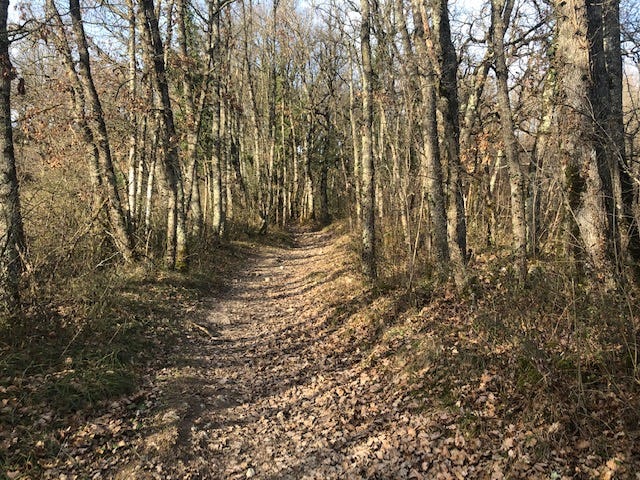 Walking and thinking …. These days, I try much harder to take… | by ...