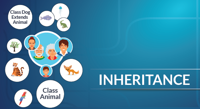 Java Inheritance: Unleashing the Power of Object-Oriented Hierarchy | by Jeet Rocks | Stackademic