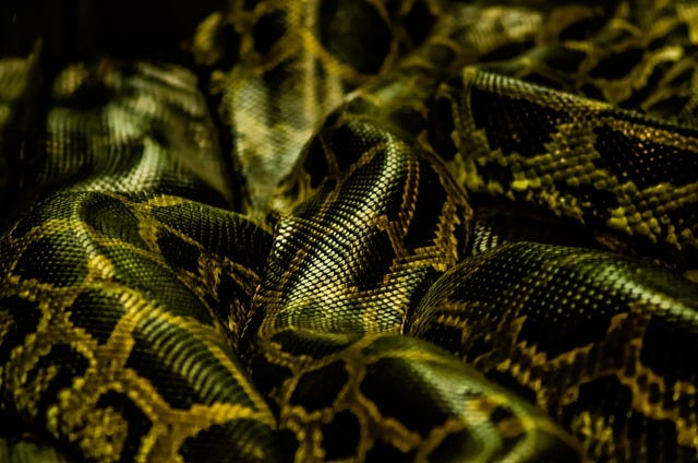 Unveiling the Magic of Python Programming: Your Path to Efficient and ... Unveiling the Magic of Python Programming: Your Path to Efficient and ...