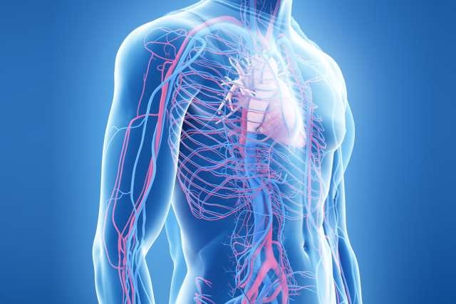 Vascular Surgeon in Lucknow. Dr. Ashutosh Kumar Pandey is a highly ...