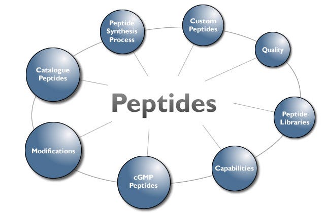The Many Uses Of Peptides. Peptides are short polymers of amino… | by ...