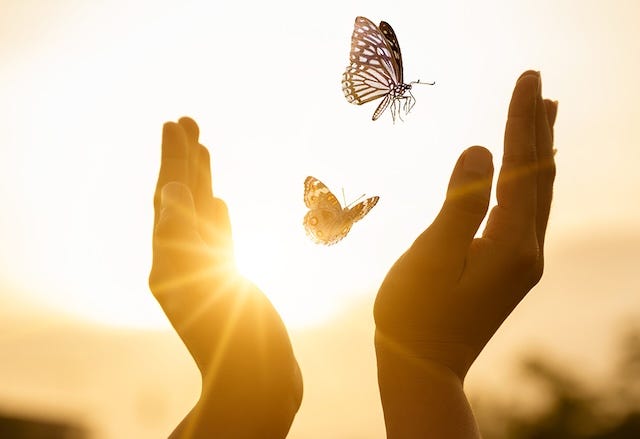 Your Transformational Moments Are Beautiful — You Need More | by ...