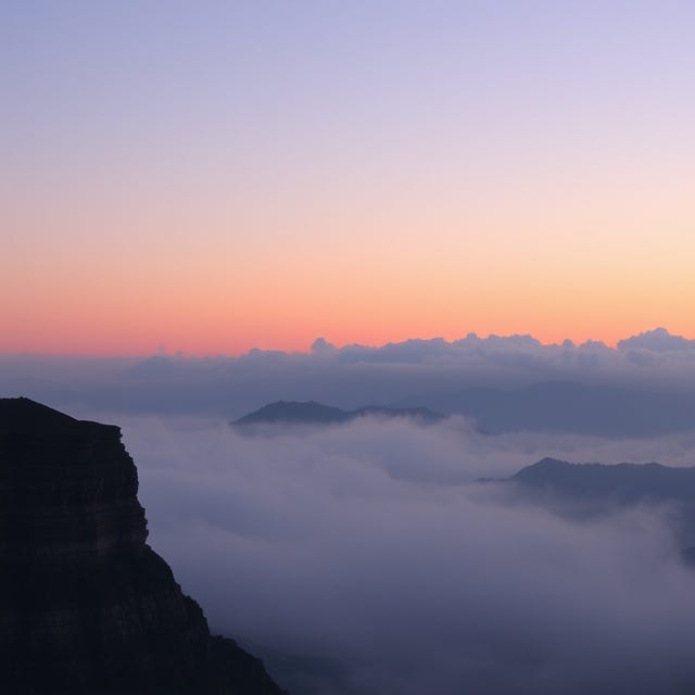 The Frailty of Being. Isn’t life such a fragile, fleeting… | by Divya ...