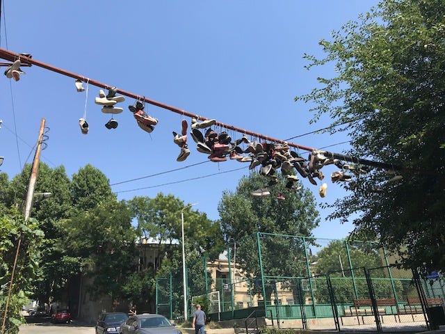 Prompt 6: Scanning the horizon - Professor_P - Medium