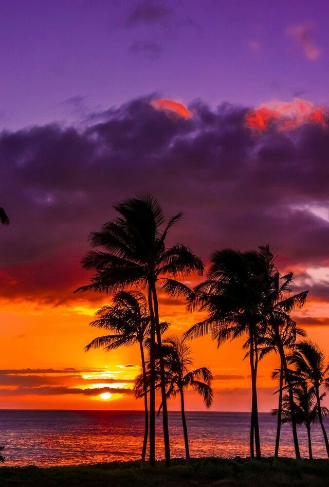 Nature’s Color Palettes: not just for earth tones | by Kris Roufa | Medium