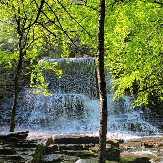 The tranquility of our mind is vital to our well-being and clarity ...