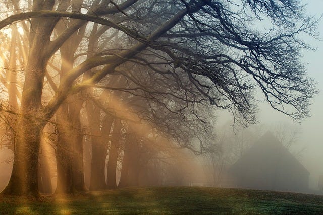 Longest Day - The Poetry Page - Medium