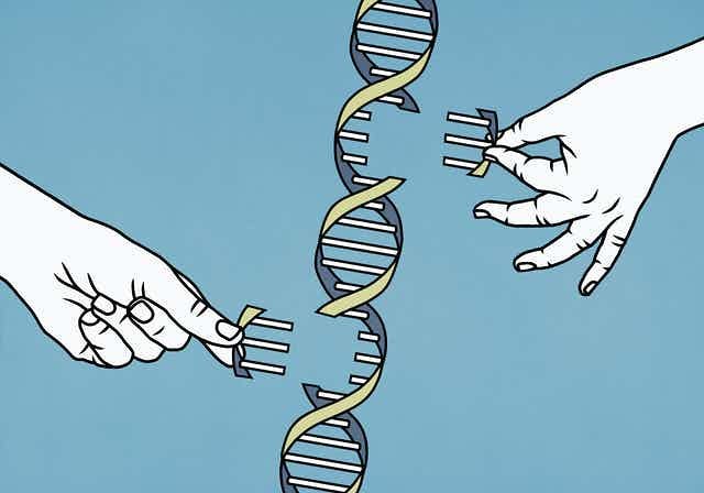 The first human gene sequence has been published | by Diogo Ribeiro ...