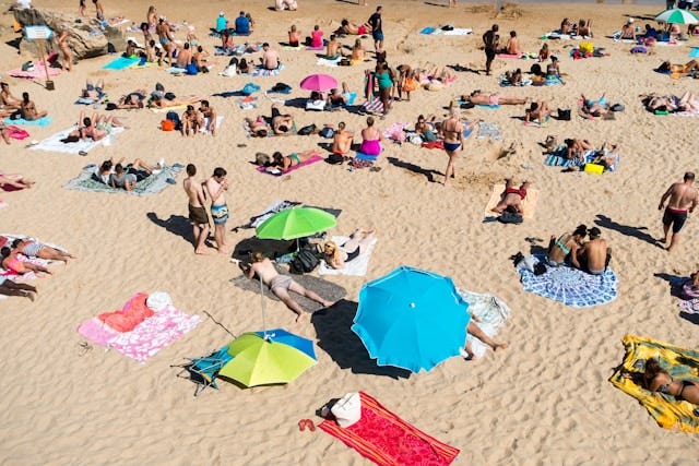 Horrible Vacations 2024. We all know vacations (holidays to our… | by ...