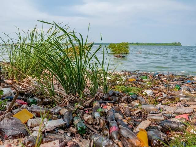 The Impact of Our Disposable Culture | Medium