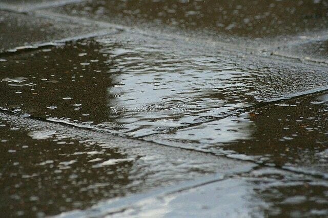 Diskusi Rasa. Hujan deras mengguyur jalan Senopati… | by cutiieputtie | Medium