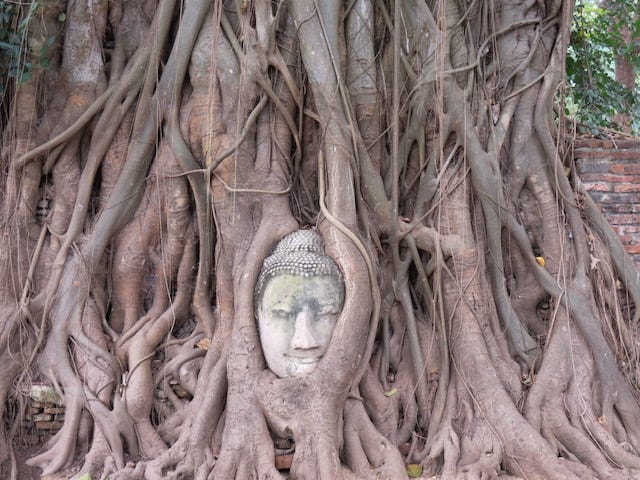 The power lies within us, it always has | by Raj Hayer | Myndset and ...