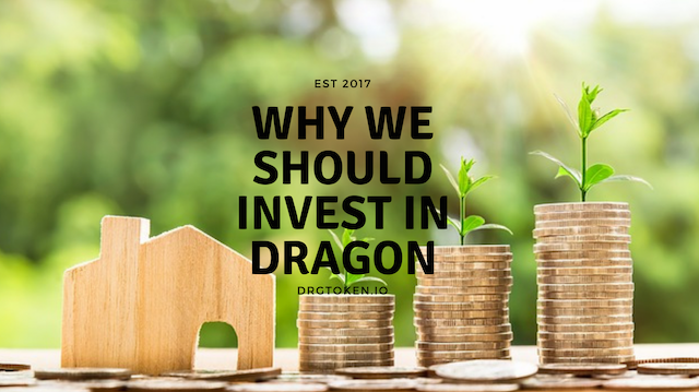 Why We Should Invest in Dragon. There are plenty of reasons for… | by ...