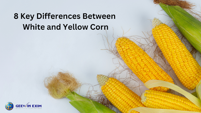 Yellow vs White Corn 8 Differences & Trusted Supplier | by Geewineximm ...
