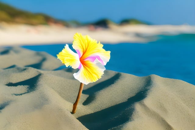 What is Beauty?. I would like to write about beauty. I… | by Japanese ...