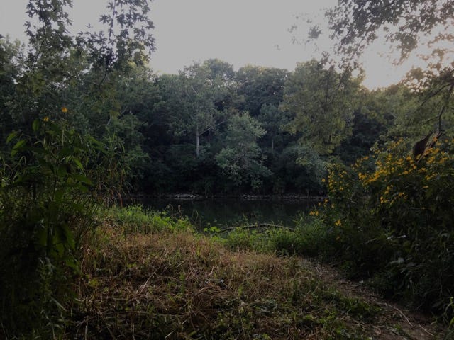 White River Blues. One Isolated sliver of the… | by Keegan Roembke ...