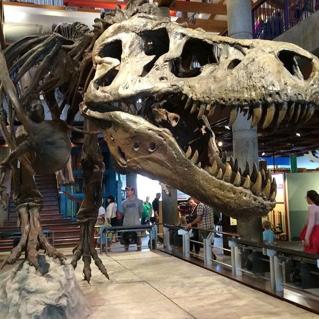 Explore the Wonders of Science at the Montshire Museum in Norwich ...