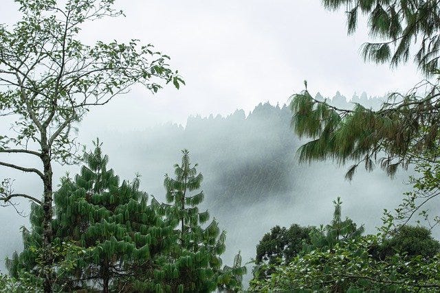 Darjeeling — The Queen Of The Hills | by Maliaswift Web | Medium