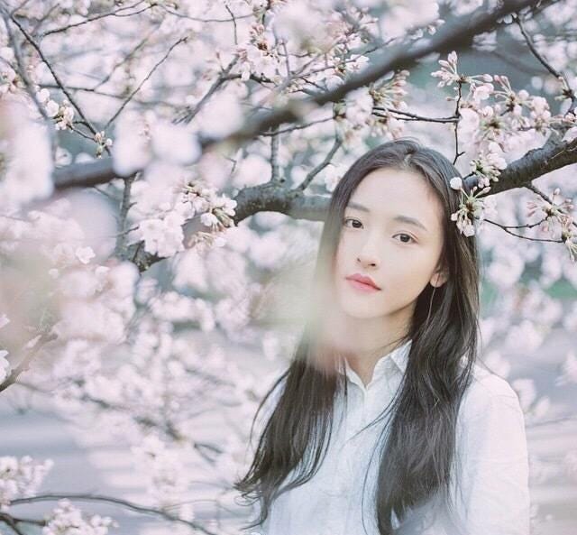 《周公有事嗎?》小鳳蝶. 他永遠也不會忘記，她17歲時春末明媚的午後，她向著冒芽的樹梢仰起頭，一陣風吹起那… | by Cooper’s ...